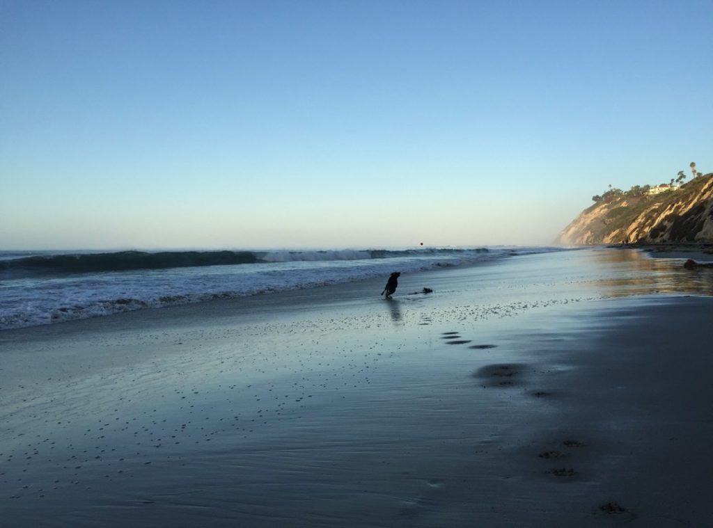 RCGC, Inc. – Our business is making your business look great!